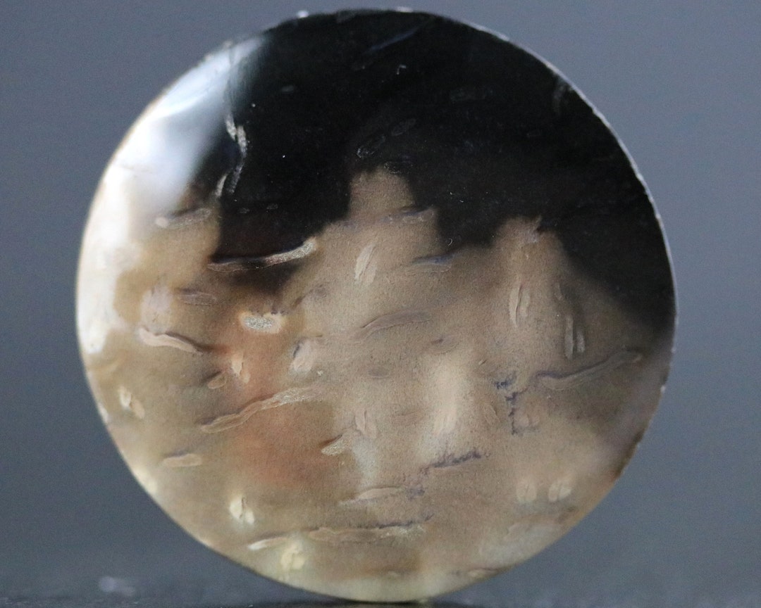 Palm Tree Root Fossil Bird's Eye Agate Cabochon Round Shape Flat Back ...