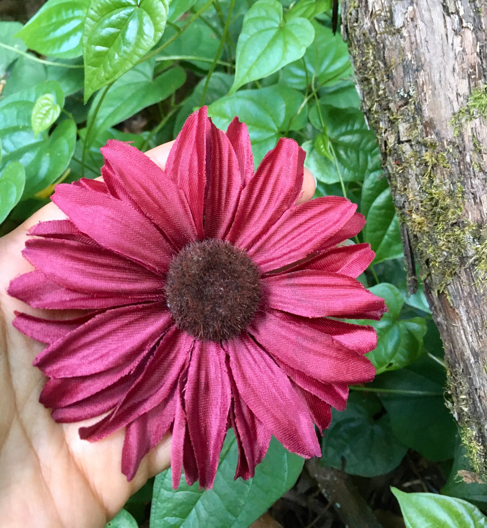 Burgundy daisy hair flower maroon daisy hair clip | Etsy