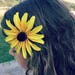 Black Eyed Susan Yellow Hair Flower Hair Clip Rudbeckia - Etsy
