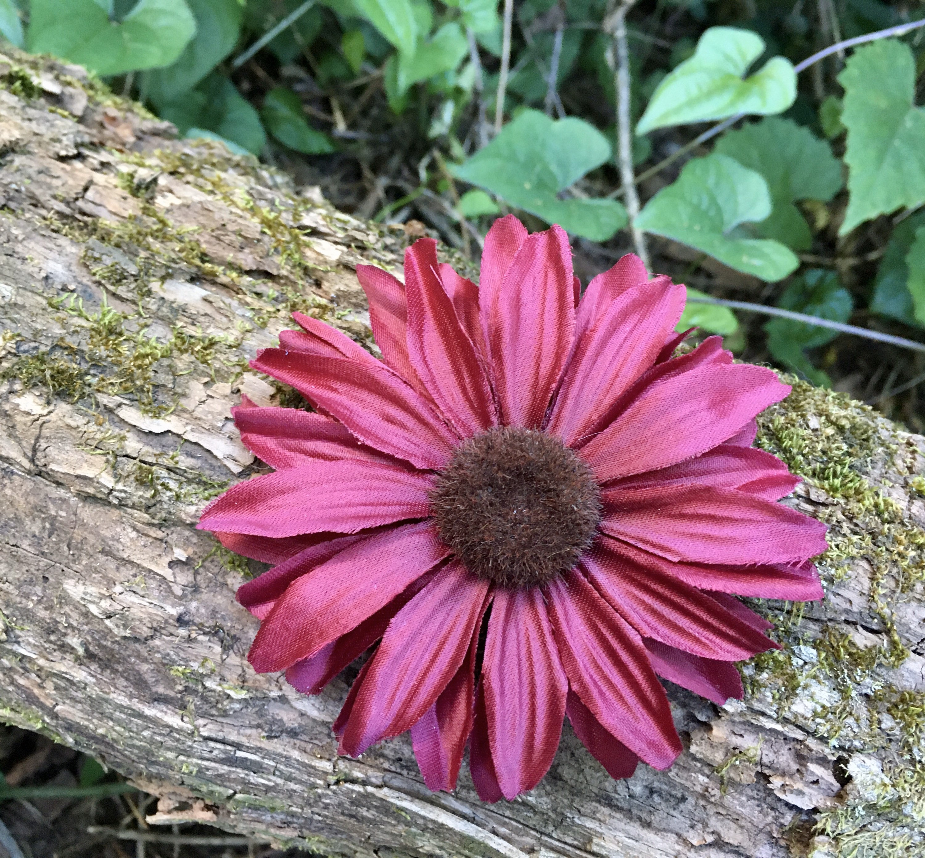 Burgundy daisy hair flower maroon daisy hair clip | Etsy