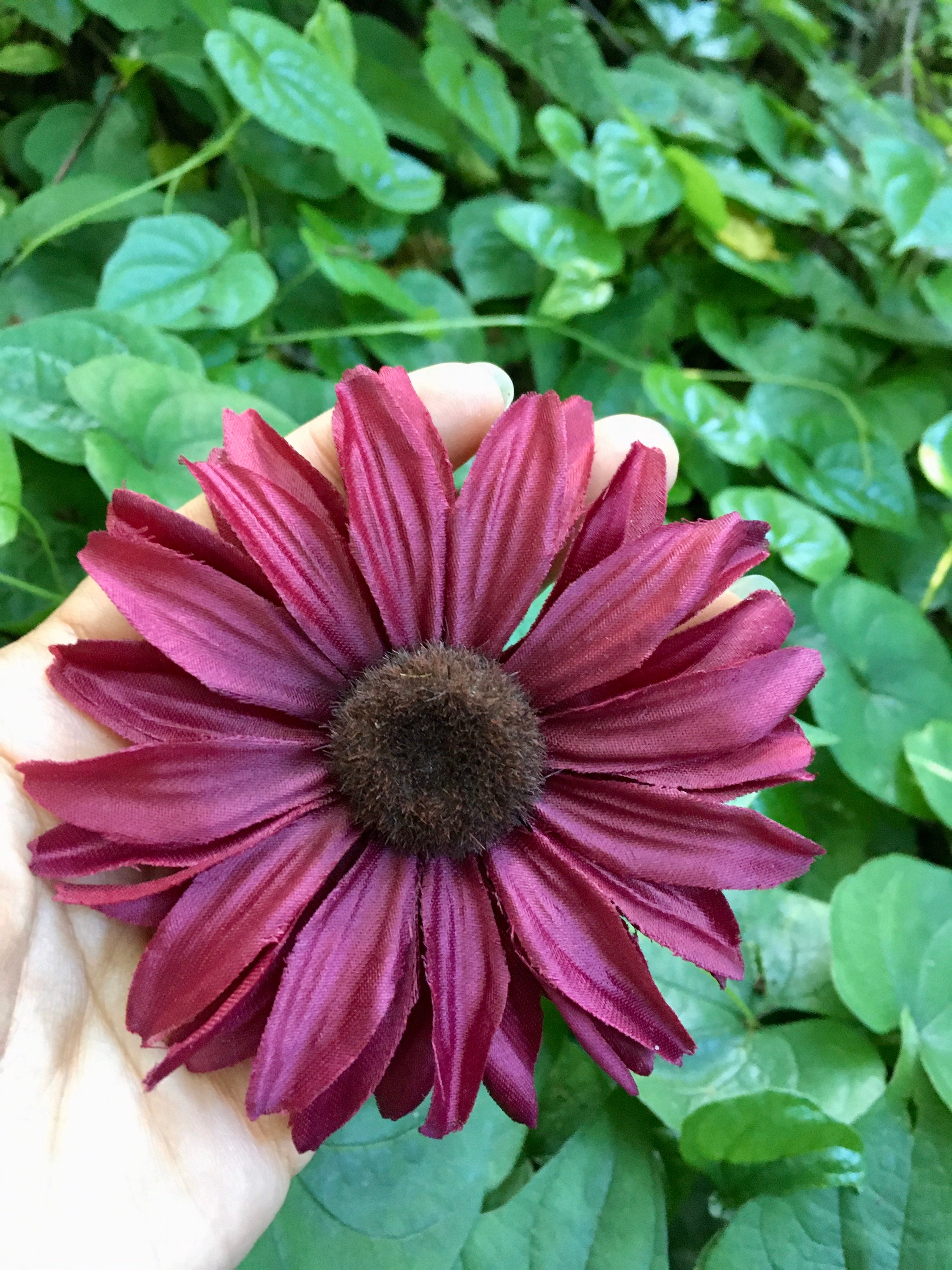 Burgundy daisy hair flower maroon daisy hair clip | Etsy
