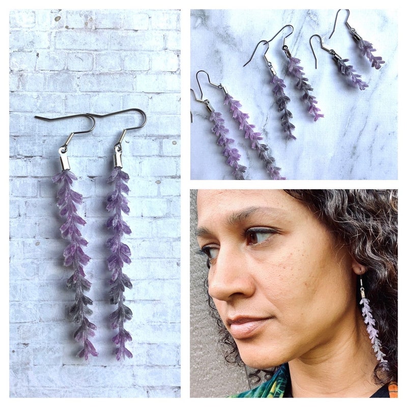 Real Lavender - Etsy