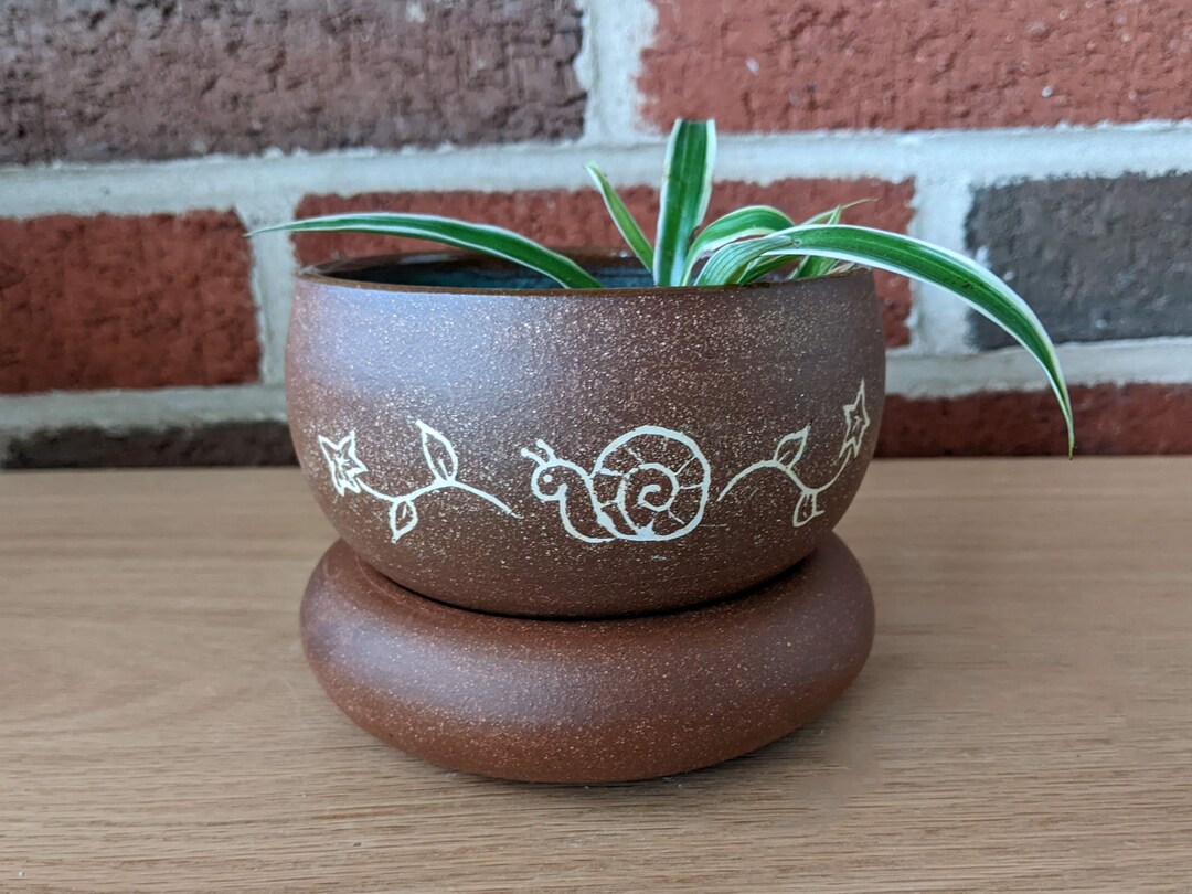 Small Ceramic Planter With Saucer and Snail Design, Succulent Container ...