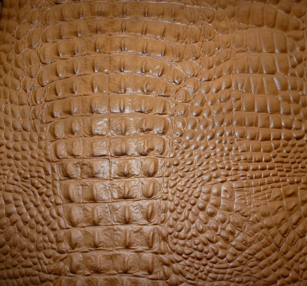 Alligator Various Sizes Honey / Oak Tan / Croc Embossed Cowhide Leather ...