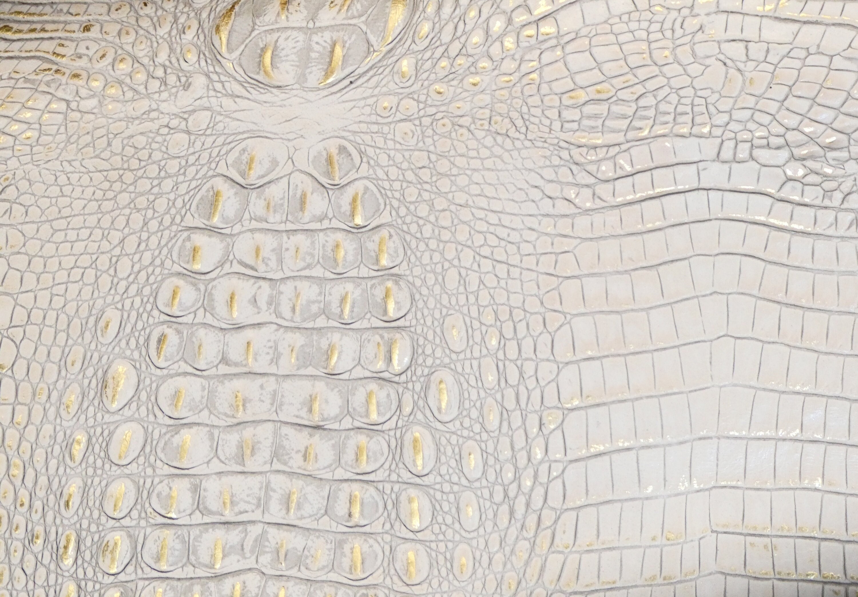 Alligator 8"x10" GOLD Metallic on Winter White / CREAM Crocodile ...