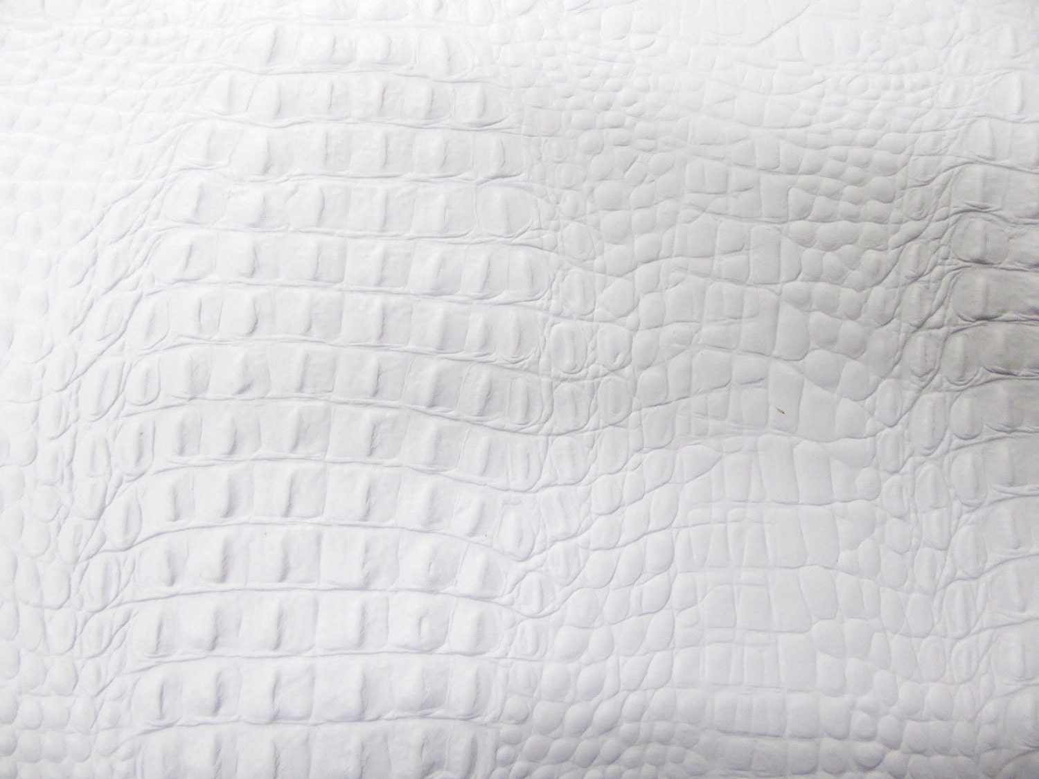 White Crocodile Texture