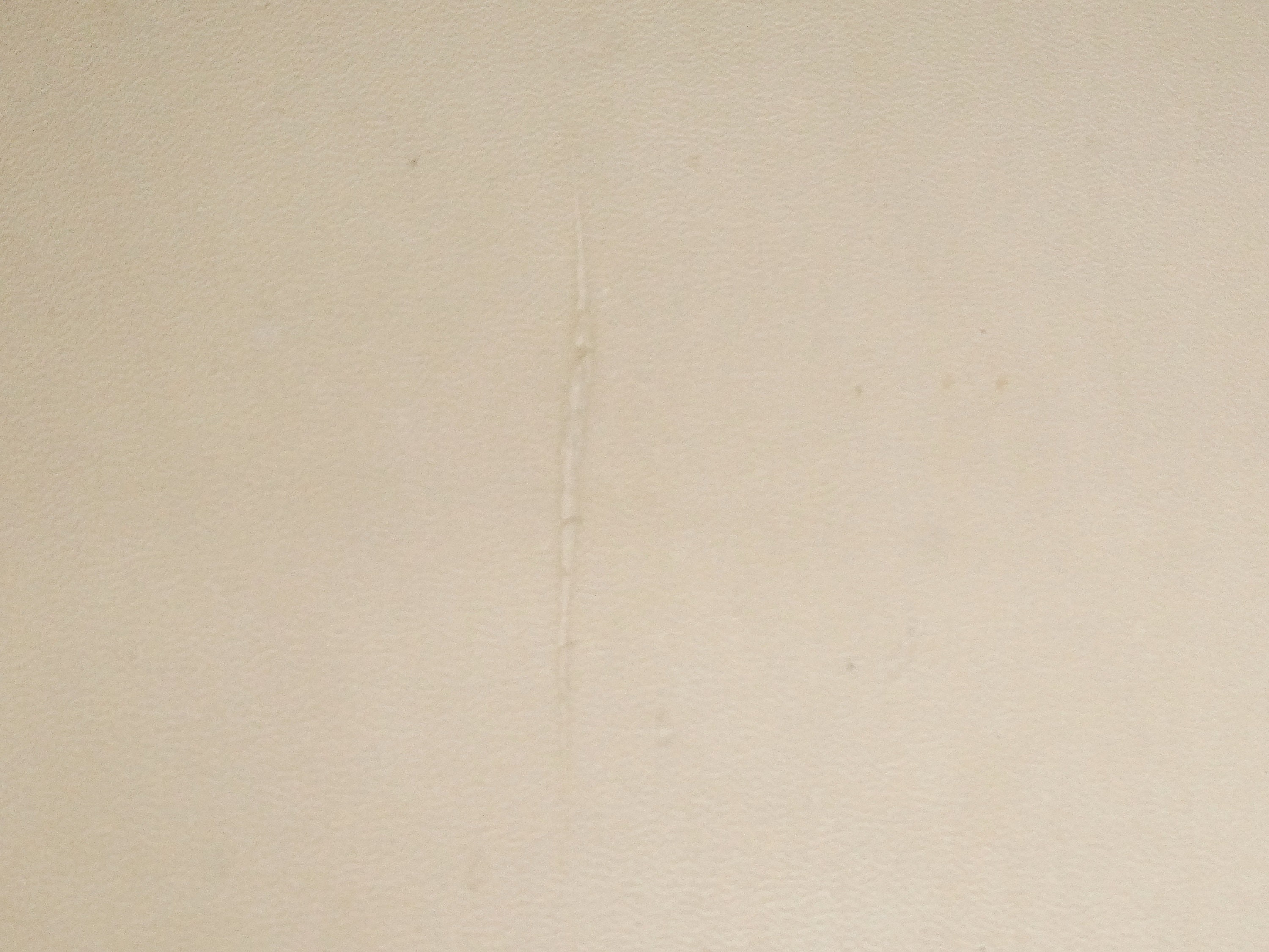 CORK 8x10 TROPICAL OASIS Floral on White Cork - Etsy