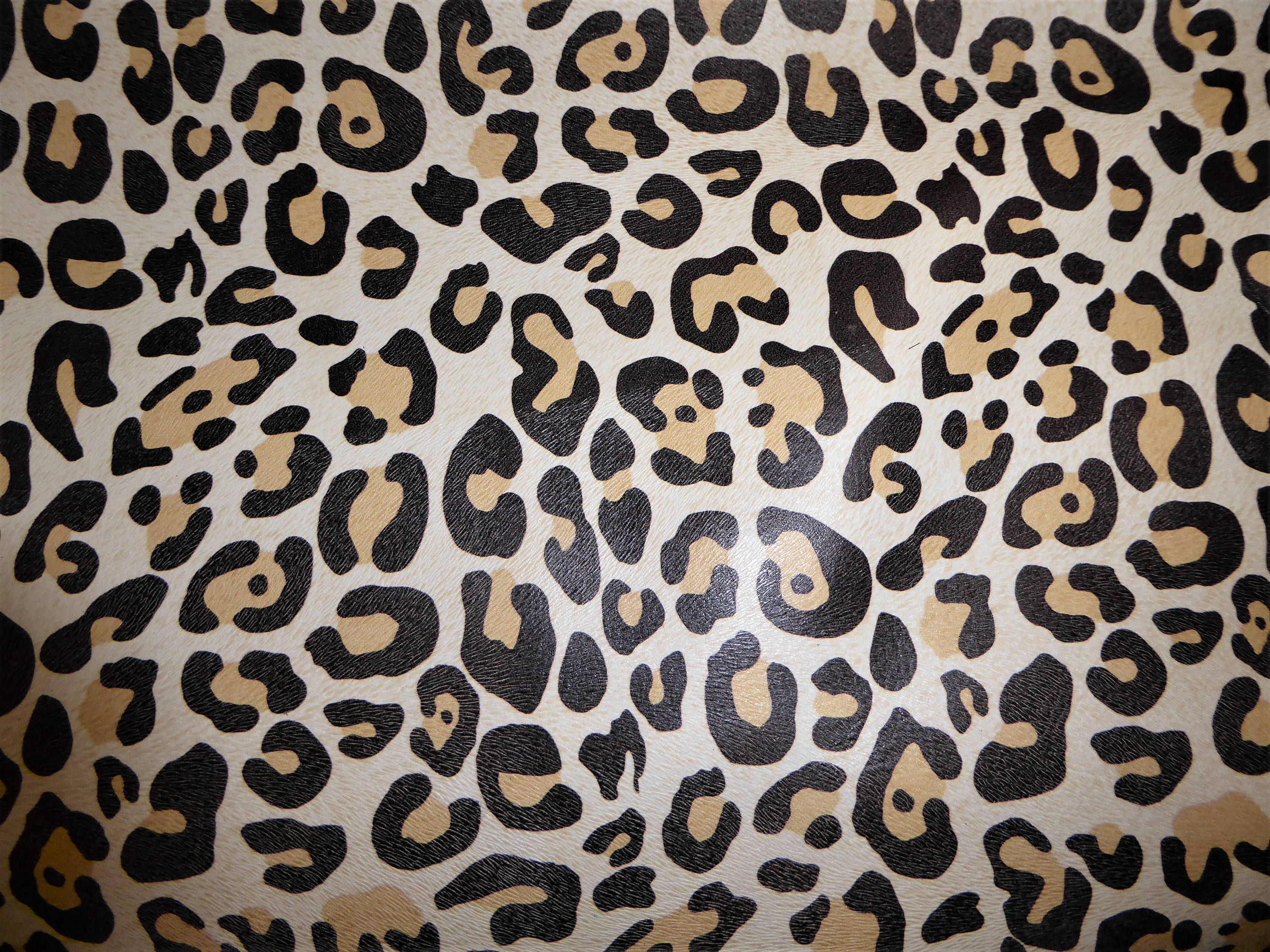 Leather 8x10 Almond Large Cheetah / Leopard Print Grain NOT hair on ...