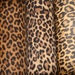 Leather 12x12 ORIGINAL Mini TAWNY Tan Cheetah / Leopard Print Grain ...