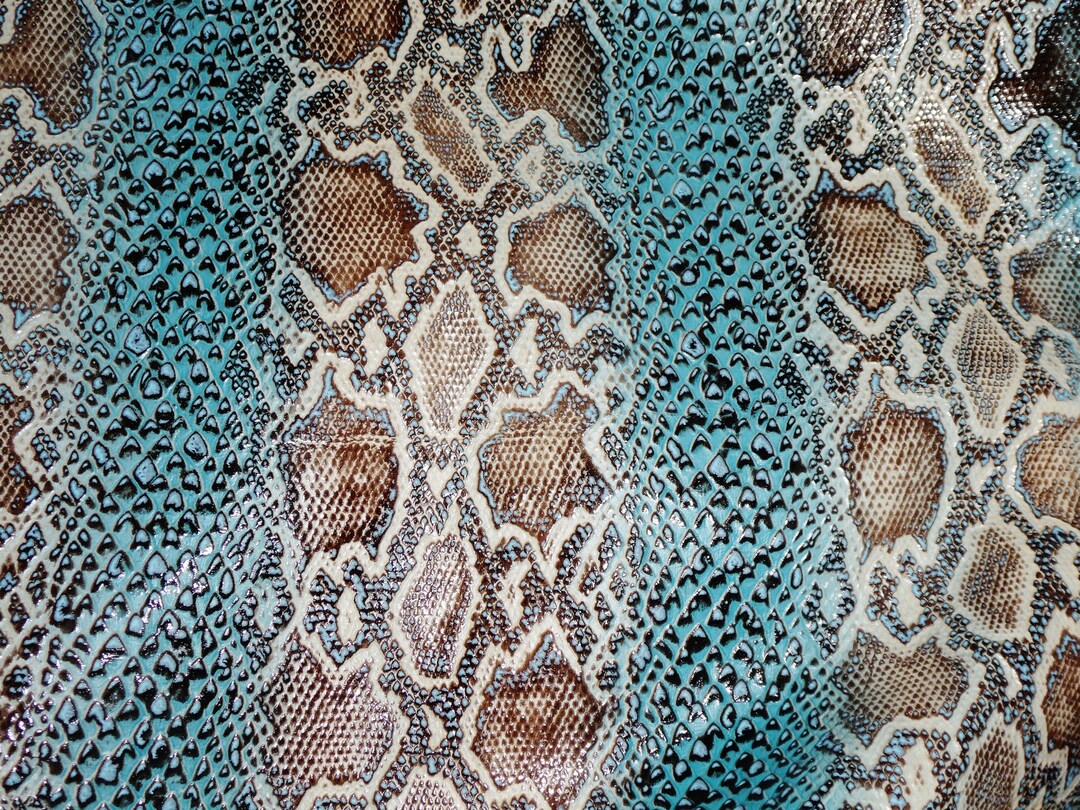 PYTHON Snake 12"x12" TURQUOISE and MOCHA Embossed Cowhide Leather 2.5-3 ...
