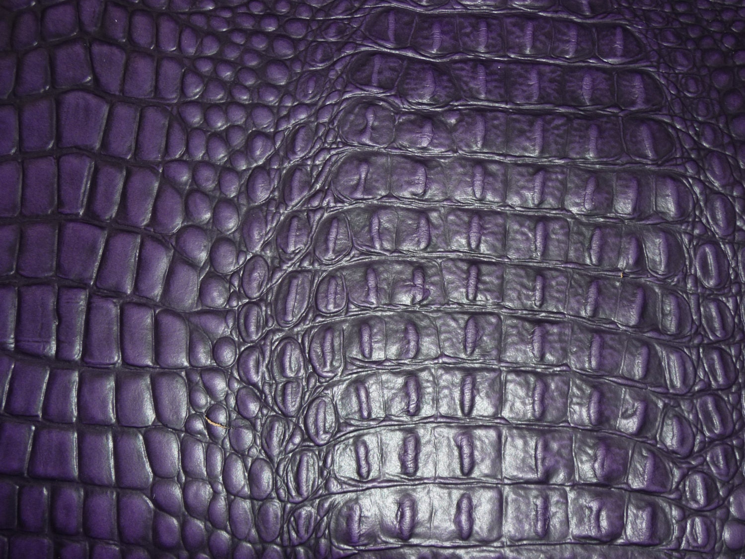 Purple Alligator Skin