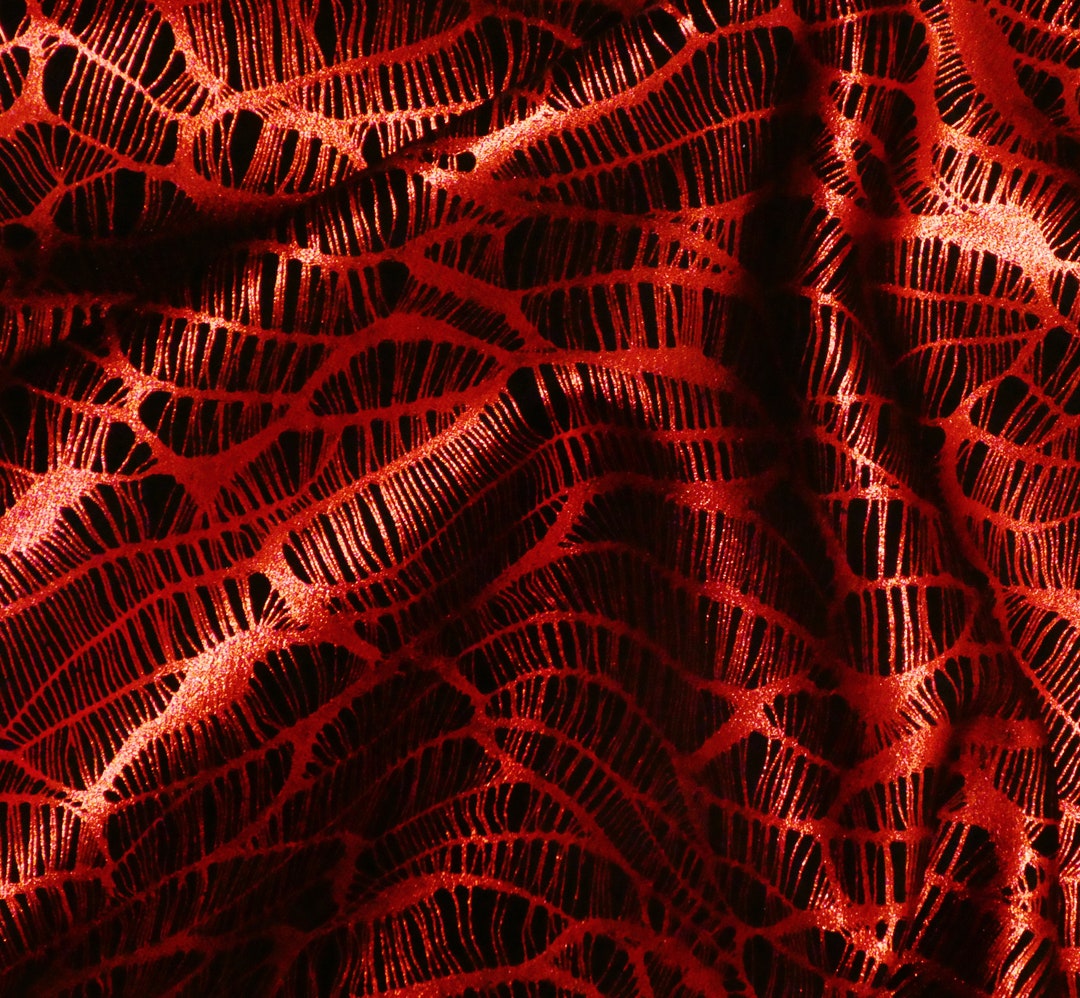 Metallic Leather 12"x12" Complex Spider Web RED / Black Soft Cowhide 3. ...