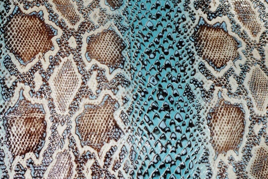 PYTHON Snake 8"x10" TURQUOISE and MOCHA Embossed Cowhide Leather 2.5-3 ...