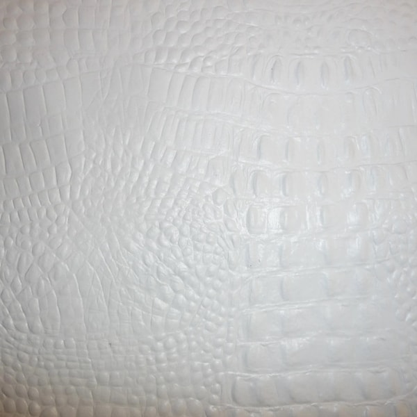 Alligator Embossed - Etsy