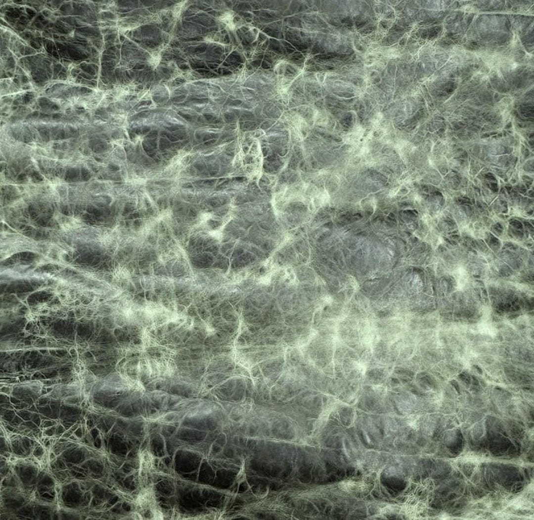 NEW Pull up 8x10 Trailblazer Forest Green W/ Olive, Thick, Fairly FIRM ...