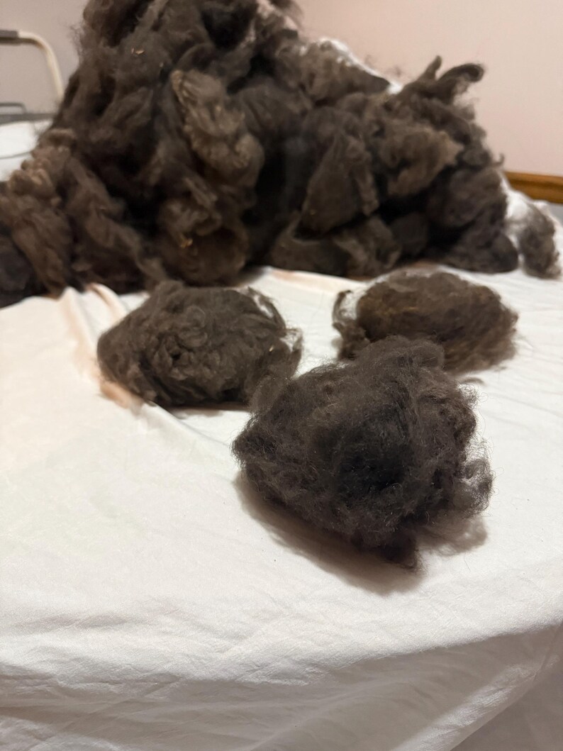 Imperial Yak Fiber--undyed, Natural Fiber for Spinning, Felting, Roving ...