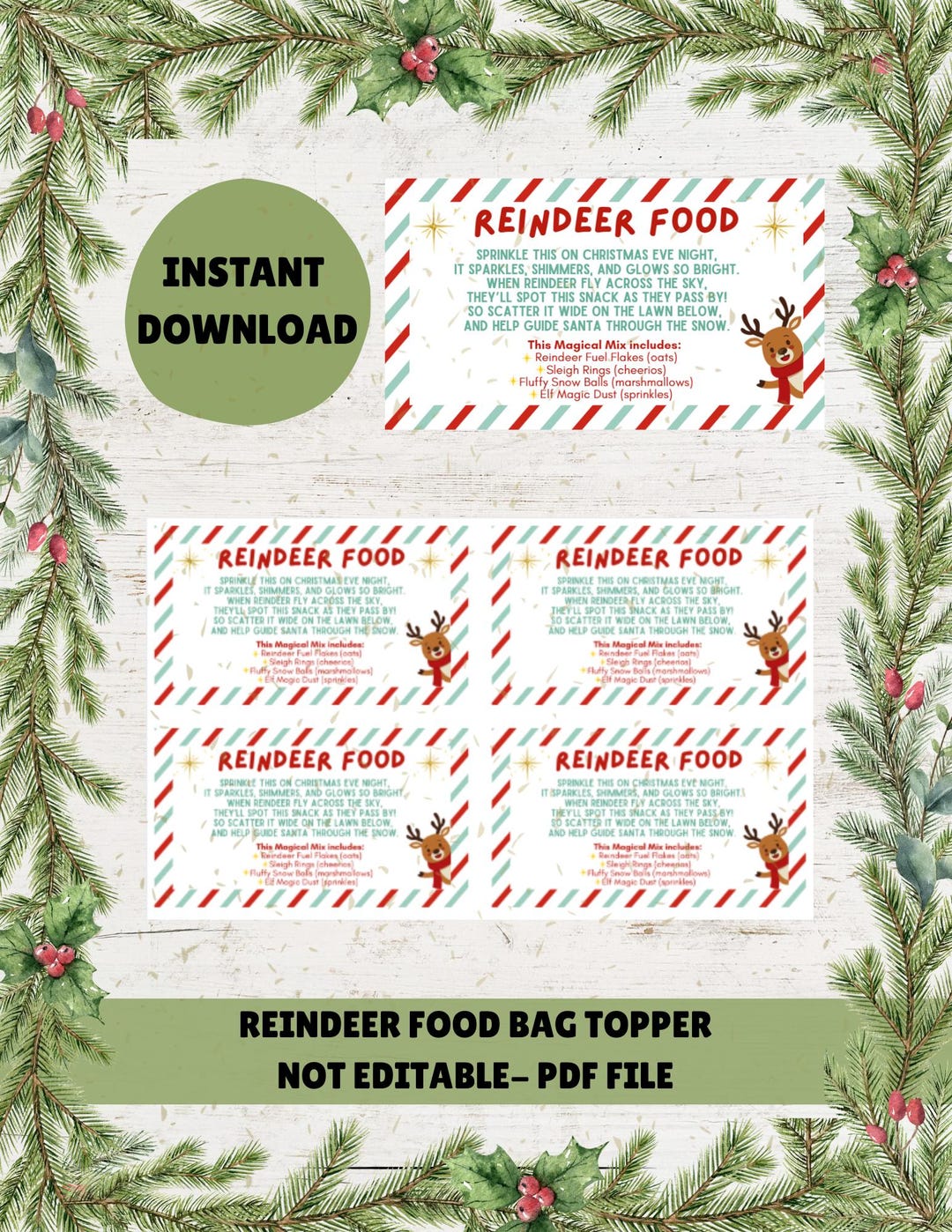 Reindeer Food Bag Printable • Christmas Eve Magic Mix Poem • Kids ...