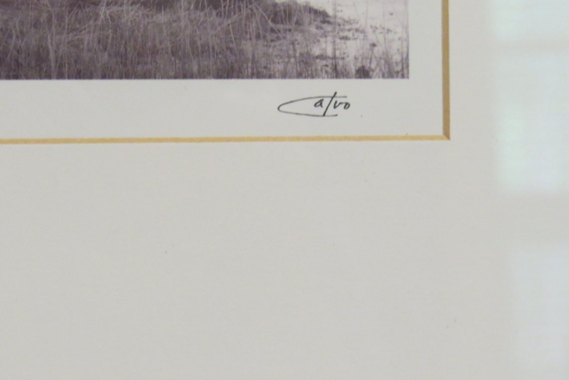 Vintage Richard Calvo Print Riverview Tree Series Original - Etsy