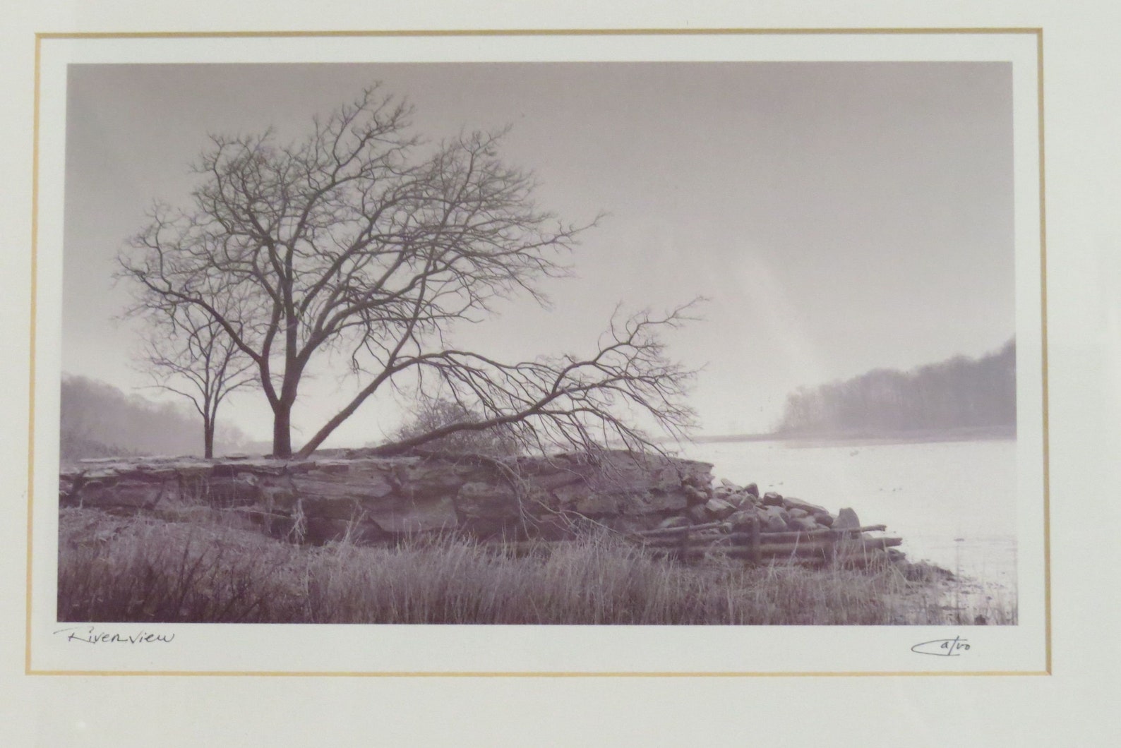 Vintage Richard Calvo Print Riverview Tree Series Original - Etsy