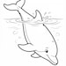65 Dolphin Activity Pages for Kids | Printable Ocean Animal Art | Fun ...