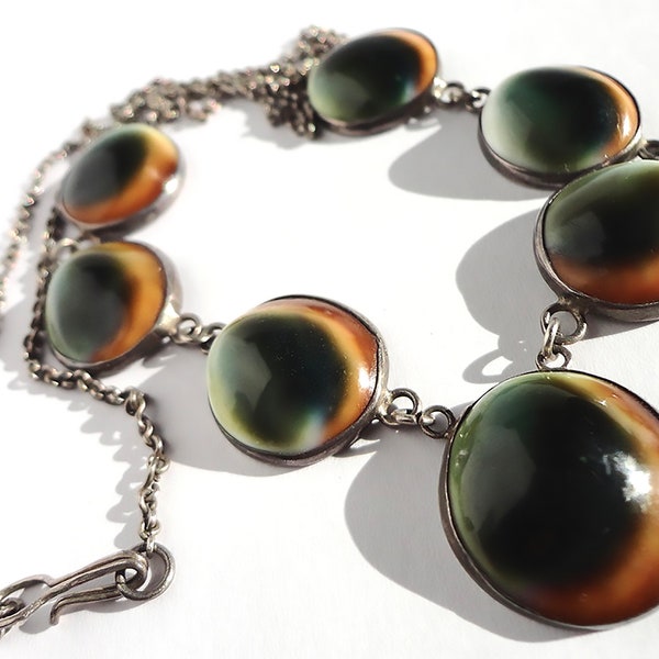 Operculum Shell - Etsy