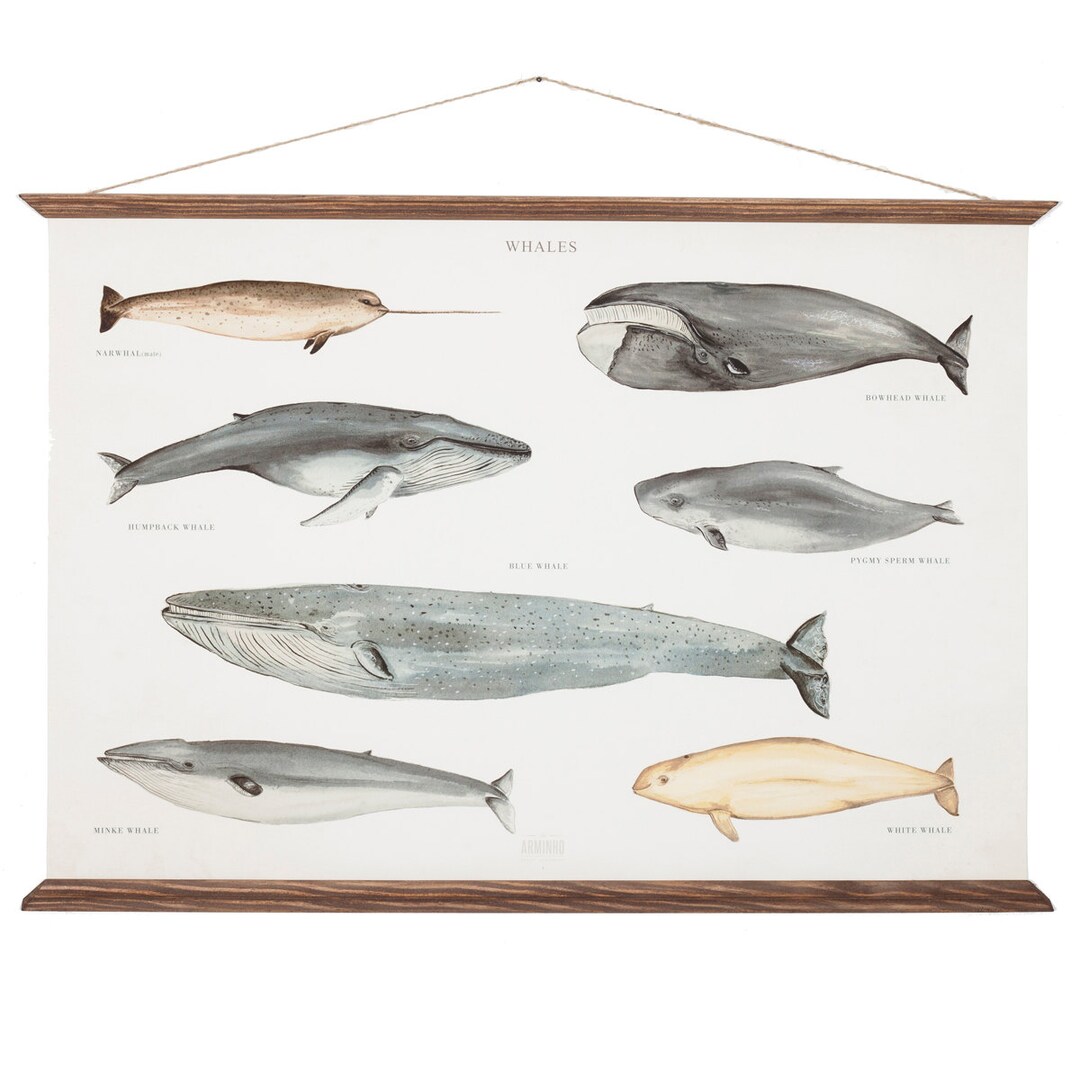 Whales Poster A3 Art Canvas Handmade Vintage Inspired - Etsy