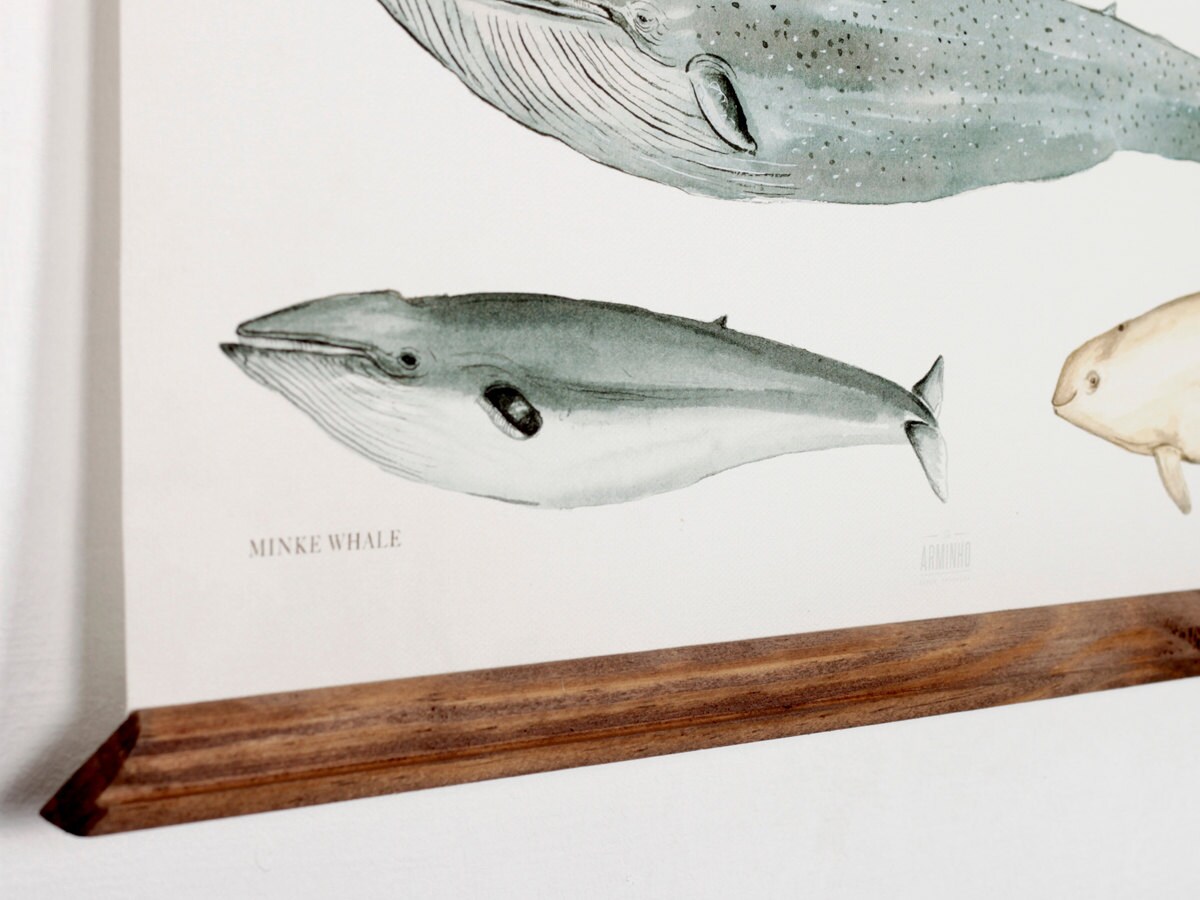 Whales Poster A3 Art Canvas Handmade Vintage Inspired - Etsy