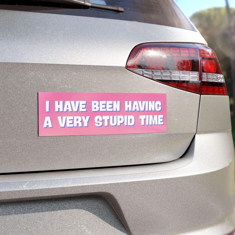 I Have Been Having A Very Stupid Time Funny Car Magnet | Bumper Decor ...