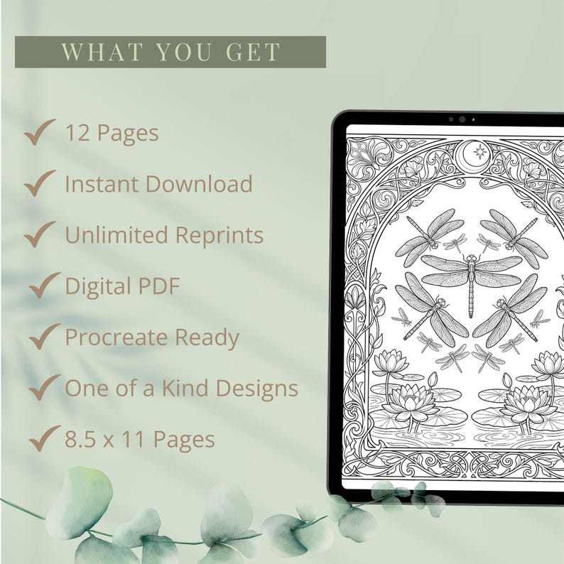 Dragonfly Coloring Book, 12 Art Nouveau Ethereal Printable Adult ...