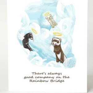 Ferret Sympathy Card Death of Pet Pet Loss Ferret Art - Etsy