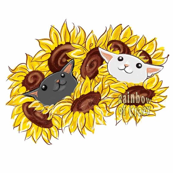 Sunflower Cartoon Clipart Cats
