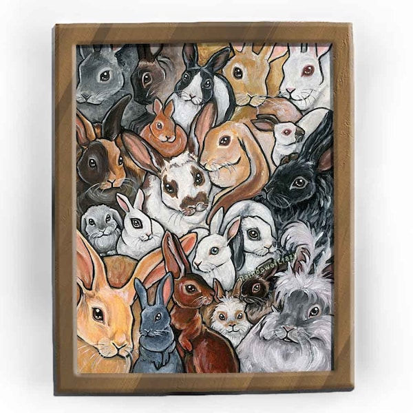 Rabbit Breeds - Etsy