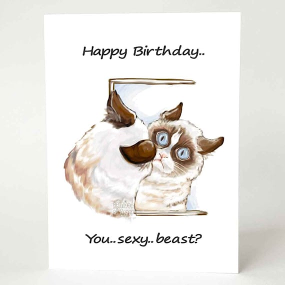 Grumpy Cat Wedding Condolences