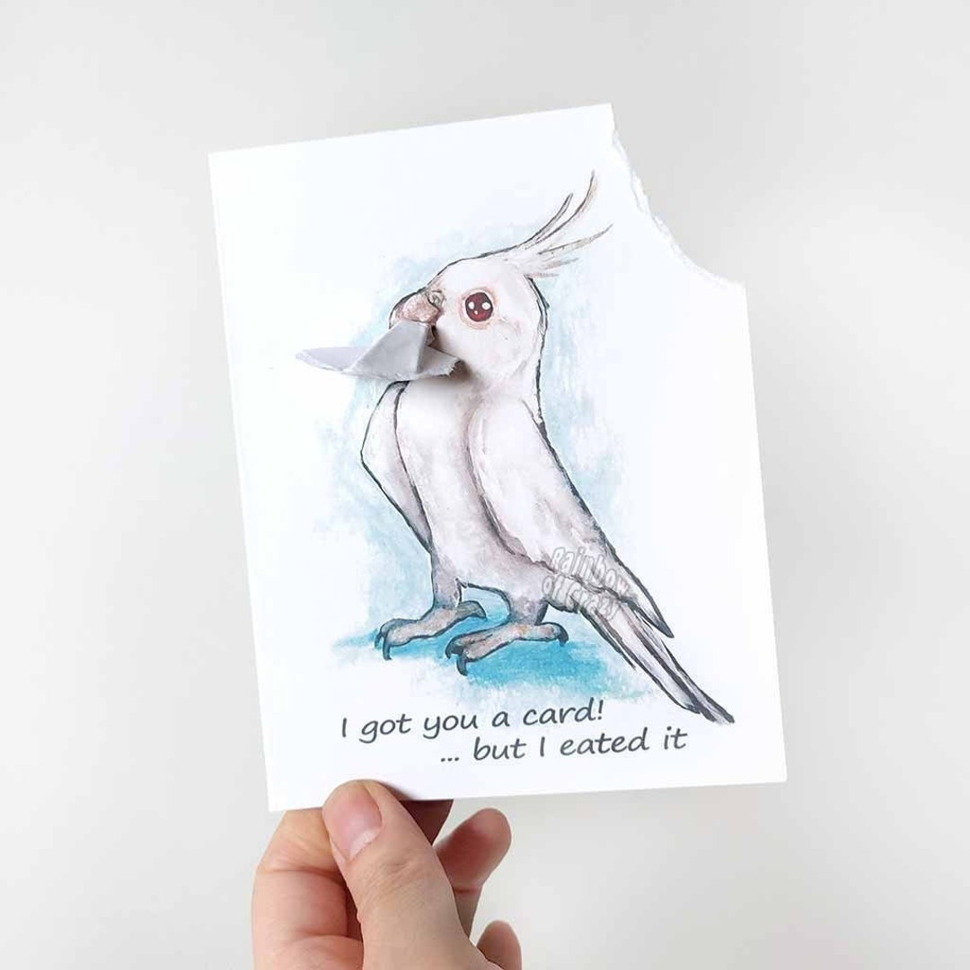 Albino Cockatiel Card, Funny Greeting, Happy Birthday, New Pet ...