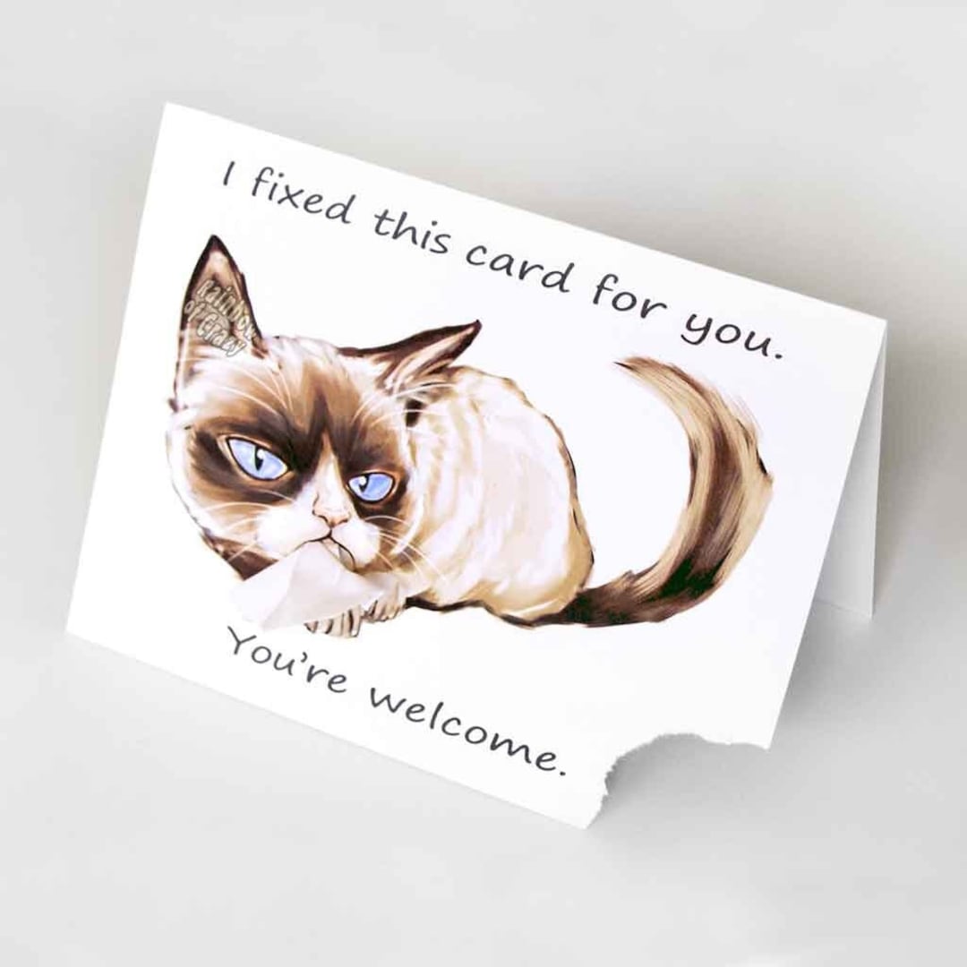 Grumpy Cat Youre Welcome