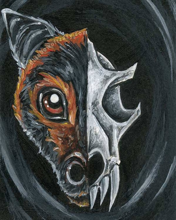 Australian Flying Fox Skeleton