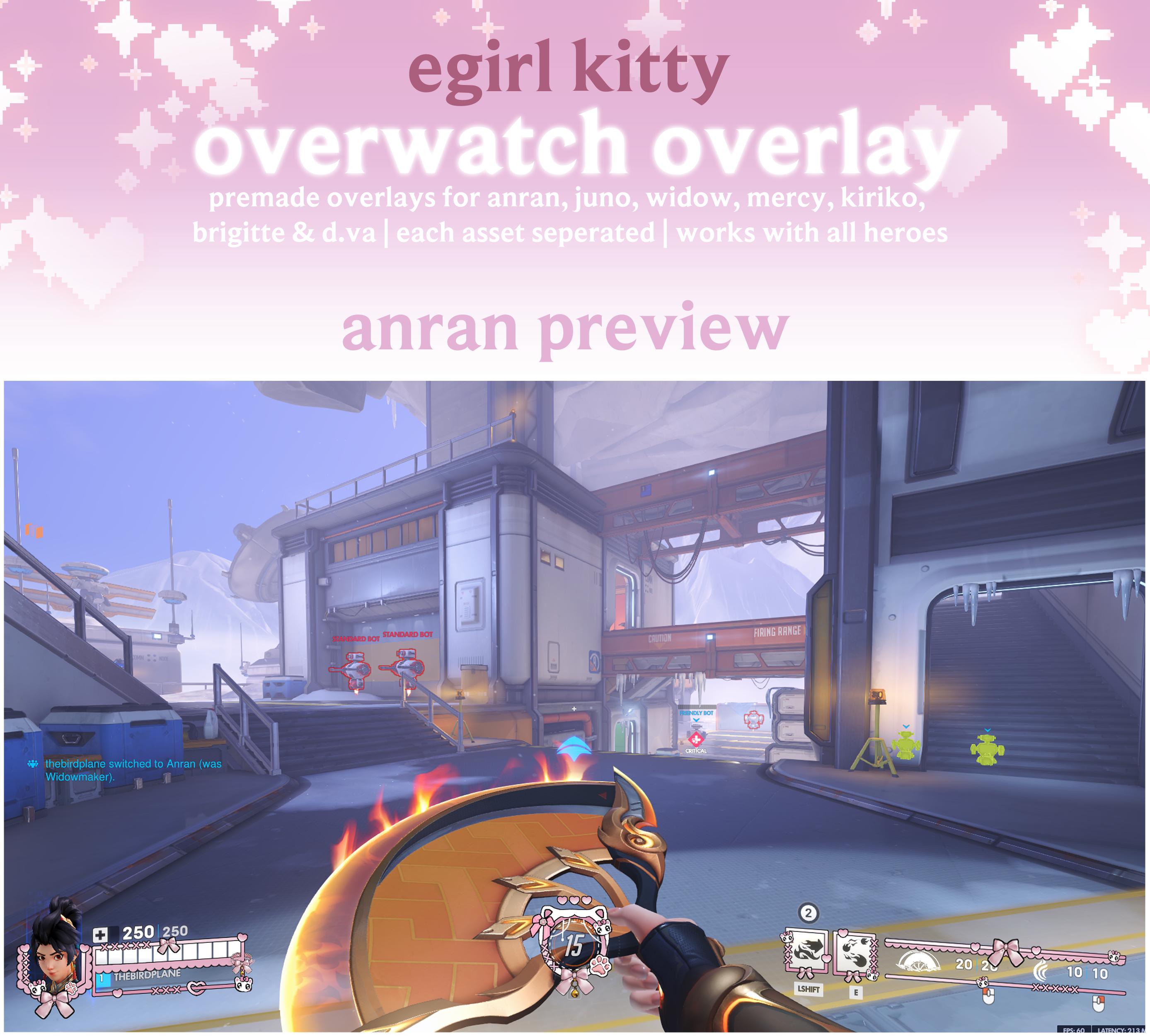 Egirl Kitty HUD Overwatch Overlay | HUDSIGHT - Etsy