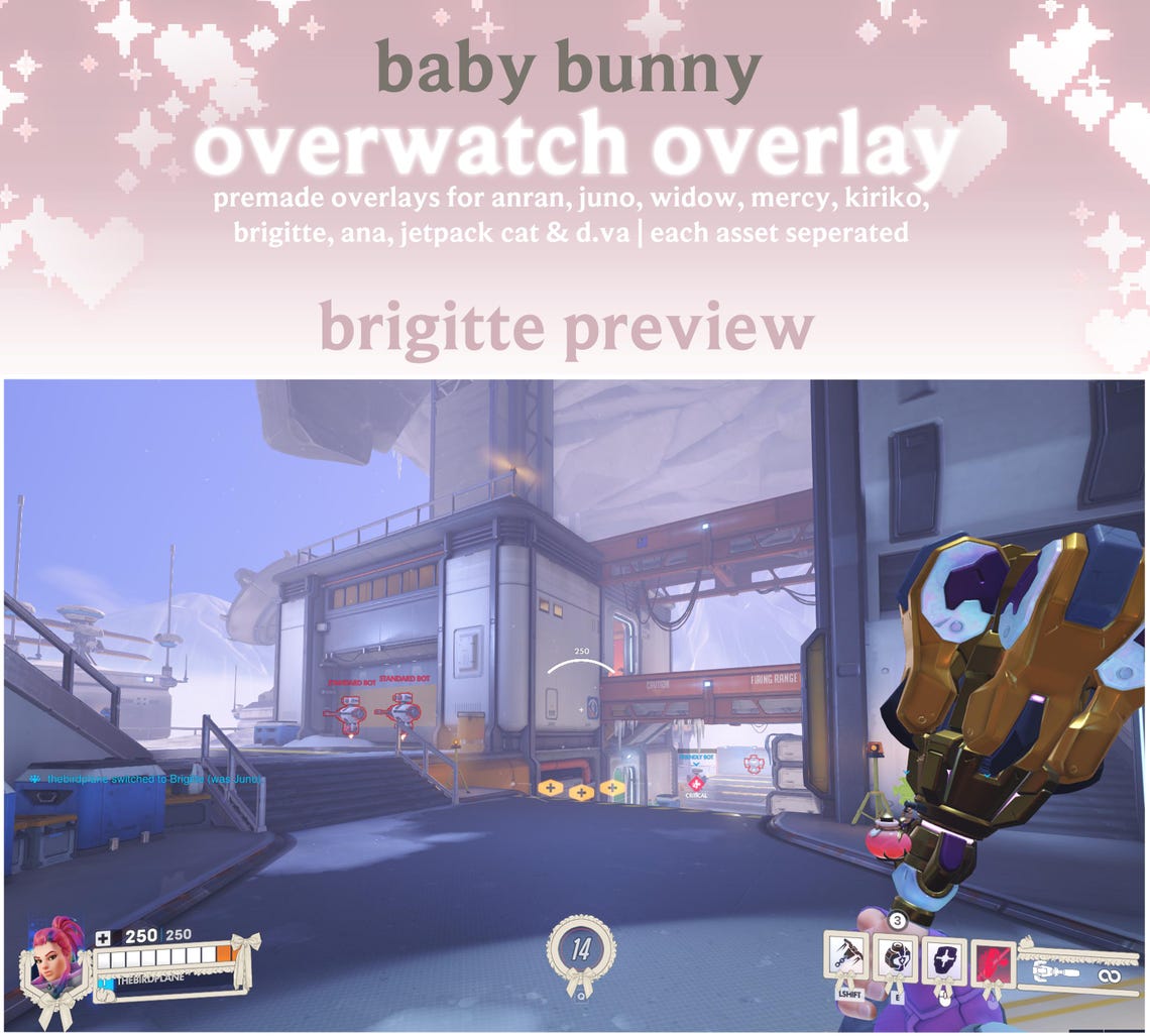 Baby Bunny HUD Overwatch Overlay | HUDSIGHT - Etsy