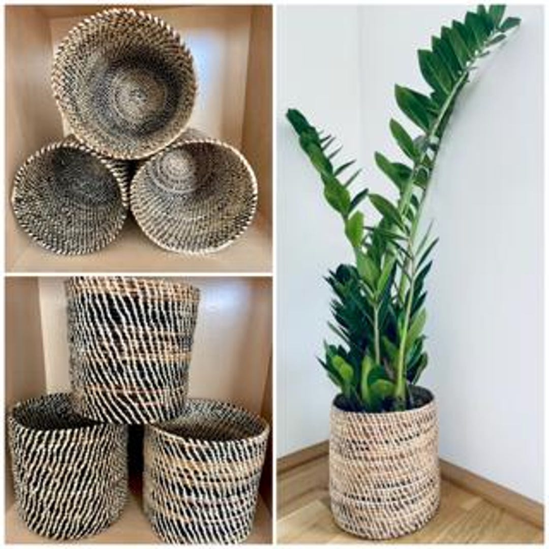 Banana Fibre Planters &pots - Etsy