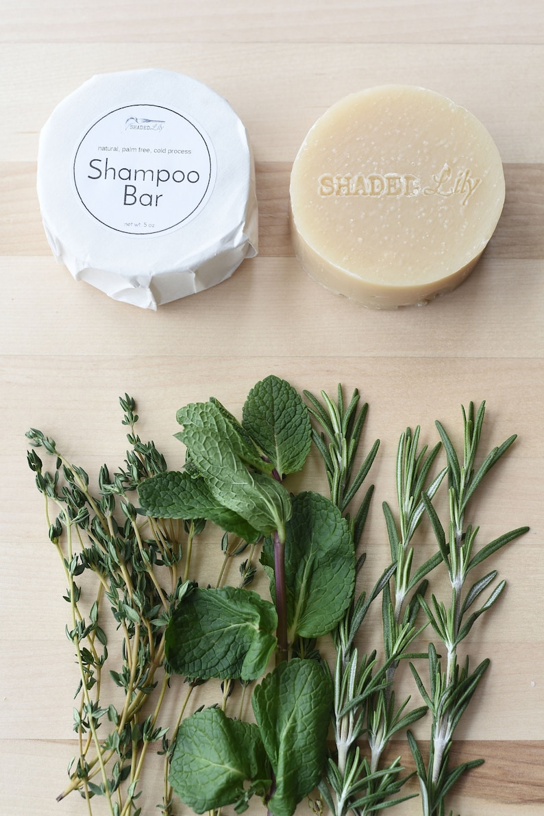 Zero Waste Shampoo / Eco Friendly Vegan Shampoo Bar / Plastic | Etsy