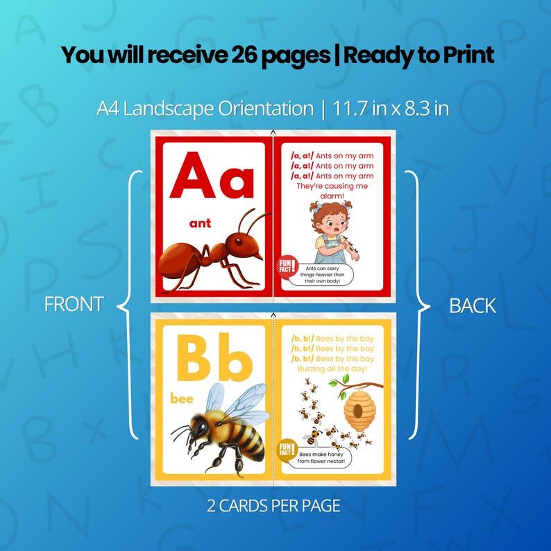 Phonics Alphabet Flashcards A-Z for Kids: Toddler ABC Printable Flash ...