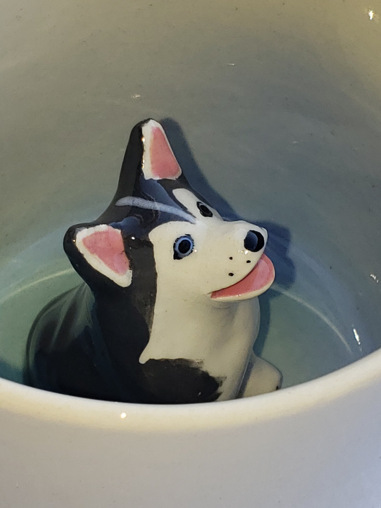 Husky Surprise Mug in Stock | Etsy