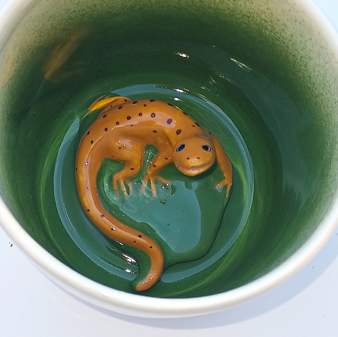 Newt Inside Coffee Mug (in Stock), Red Eft Teacup - Etsy