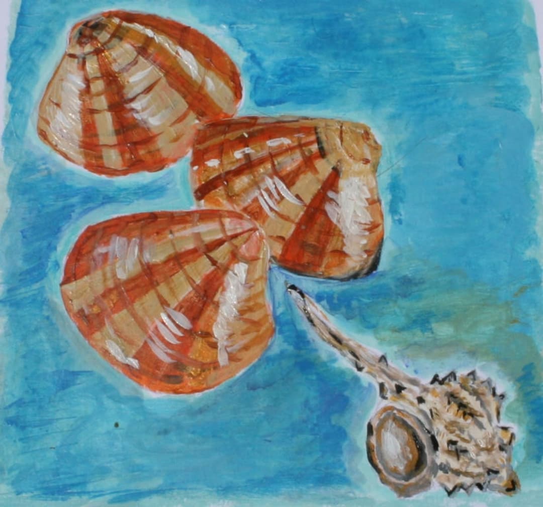 Acrylic Painting of Sea Shells - Etsy