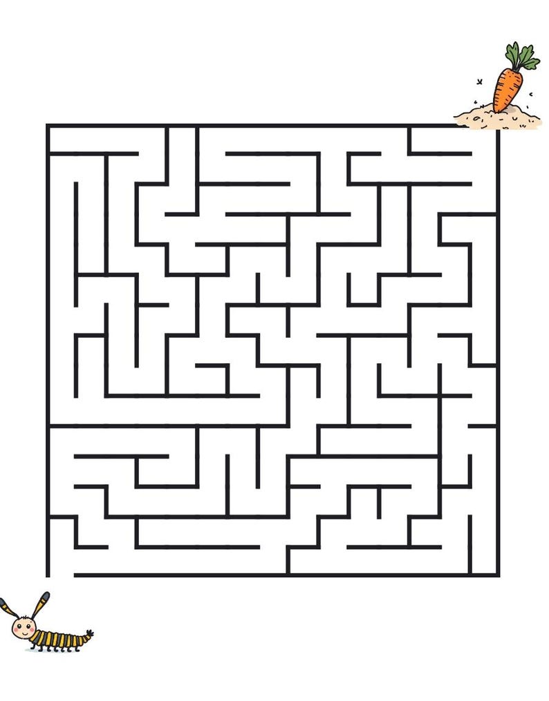 Butterfly Life Cycle Maze Activity Book for Kids Ages 6-11 (digital ...