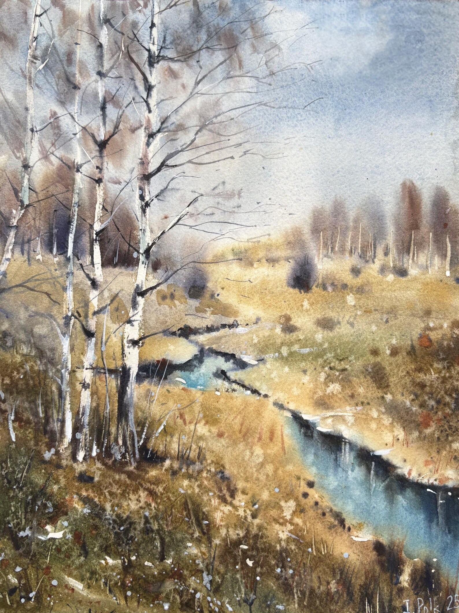 Original Watercolor Landscape, Early Spring Field With Birch Tree ...