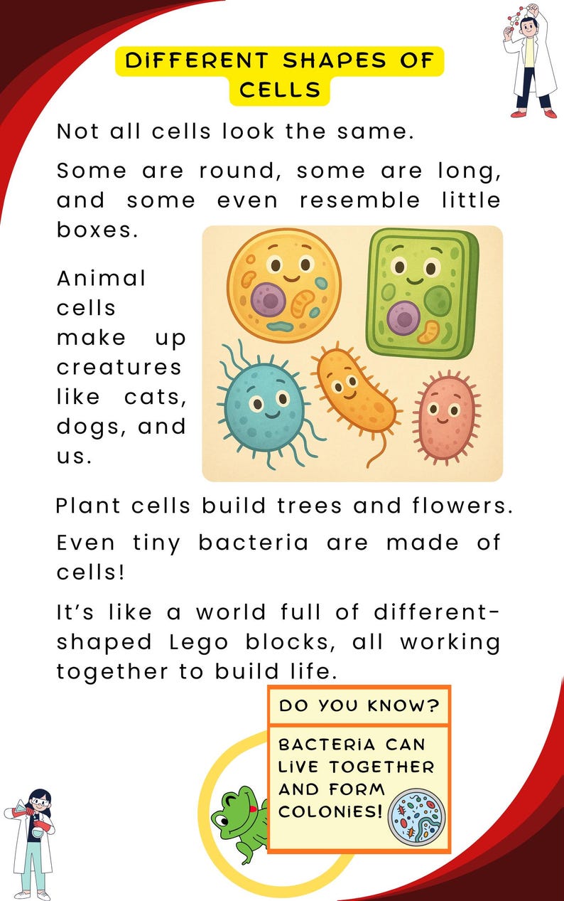 Cells: Building Blocks of Life, Kids Science Book - Etsy