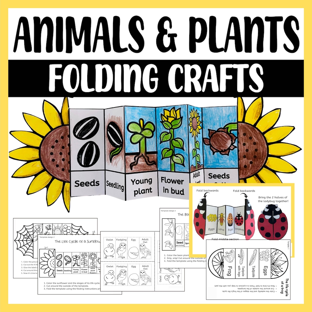 Animals and Plants Folding Craft, Sequence Fold Cut and Paste Craft ...