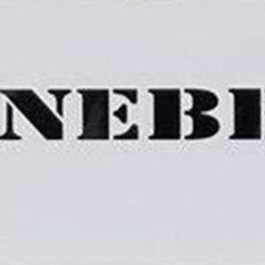 Lineberry Type2 Basic Restoration Kit - Etsy