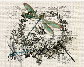 Dragonfly French - Etsy